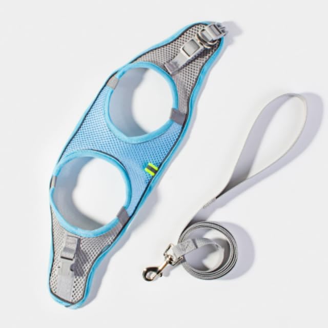 Amazon.com : Pet Chest and Back Dog Harnes and Leash, Vest Type, Mesh ...