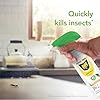Amazon.com: Raid Essentials Multi-Insect Killer Spray Bottle, Child and ...