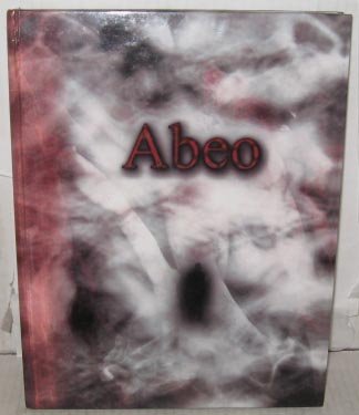 Abeo - A Modern Game of Dark Wonder: Unknown: 9780978538712: Amazon.com ...