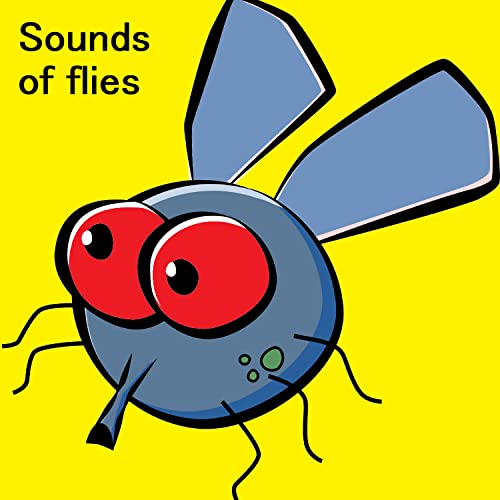 Amazon Music - Sounds of buzzing flies, 윙윙 거리는 파리 소리, 賑やかなハエの音のSounds ...