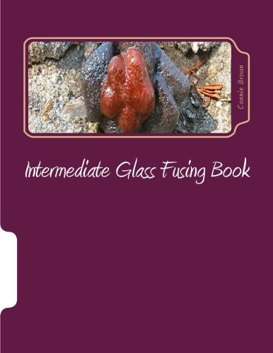 Intermediate Glass Fusing Book: Intermediate Glass Fusing Projects ...