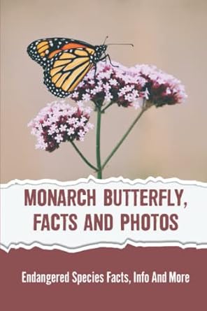 Monarch Butterfly, Facts And Photos: Endangered Species Facts, Info And ...