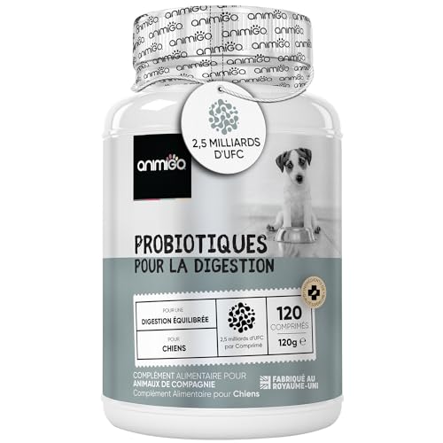 Probiotique Pour Chien – Les 15 meilleurs produits dans la comparaison ...