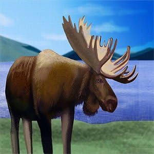Amazon.com: Moose Decorative Ceramic Wall Art Tile 4x4 : Home & Kitchen