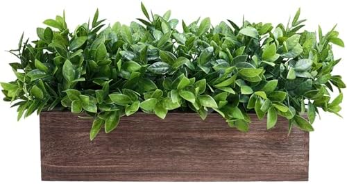 Amazon.com: Winlyn 14" Artificial Boxwood Plants in Rectangular Wood ...