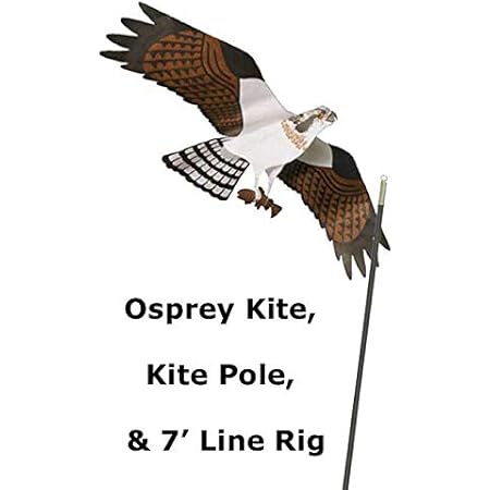 Amazon.com : BestNest Jackite Osprey Kite & Fiberglass Telescoping Pole ...