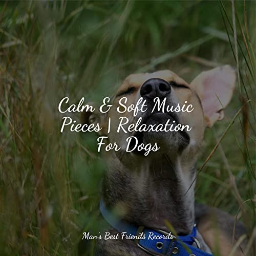 Calm & Soft Music Pieces | Relaxation For Dogs by Music for Leaving ...