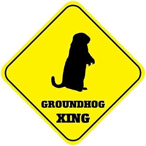 Amazon.com: WAGSUO Groundhog Crossing Signs Square Funny Metal Signs ...