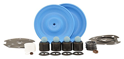 Graco Husky D05966 515 Complete Fluid Repair Kit: Polypropylene Seats ...