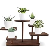 Amazon.com : Tabletop Plant Stand Indoor Small 4 Tier Adjustable Wooden ...