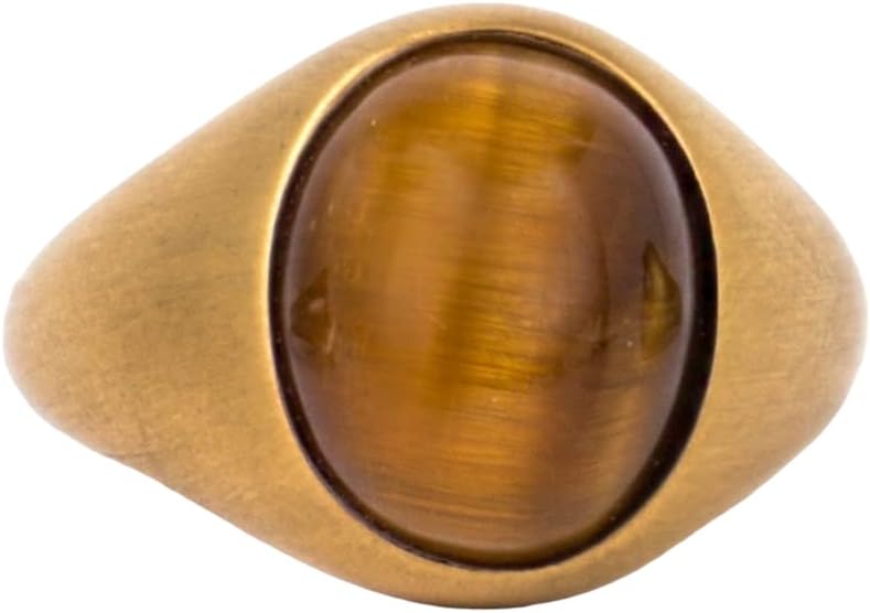 DANELIAN Oval Tiger Eye Signet Ring, Gold Tiger Eye Pinky Ring|Amazon.com