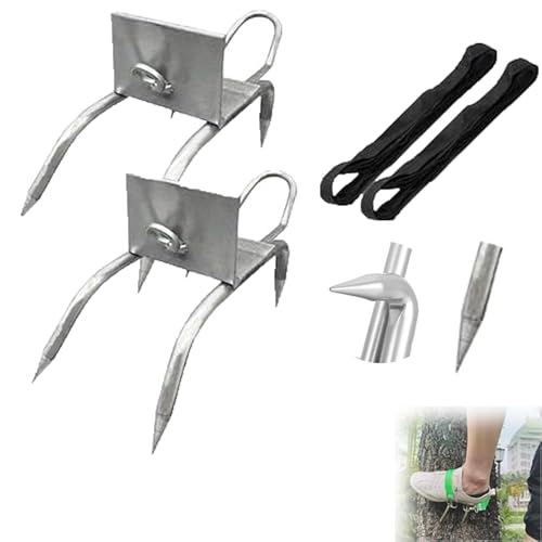 Best Tree Climbing Boots for Safe, Reliable Arboreal Work – WolvesBite ...