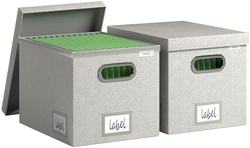 Amazon.com: BLU MONACO File Folder Box: Grey File Boxes with Lids ...