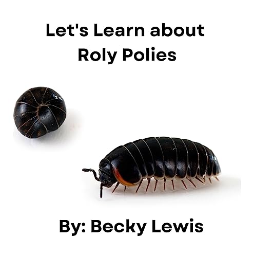 Let's Learn about Roly Polies eBook : Lewis, Becky: Amazon.in: Kindle Store