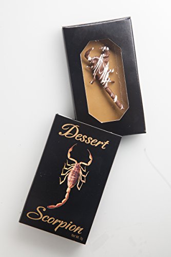 Hotlix Chocolate covered Dessert Scorpion - Insect Gourmet - Your guide ...