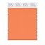 Amazon.com: PANTONE Smart 16-1360X Color Swatch Card, Nectarine ...