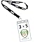 Amazon.com: 10 Pack - Large 3x5 Inch Large Clear Vertical Badge and ...
