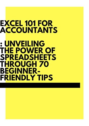 Amazon.com: Excel 101 for Accountants: Unveiling the Power of ...