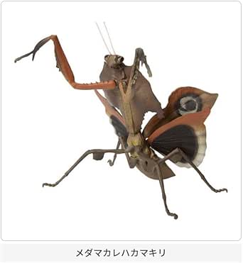 Amazon.co.jp: Capsule Ikimono Large Picture Book Mini Collection Insect ...