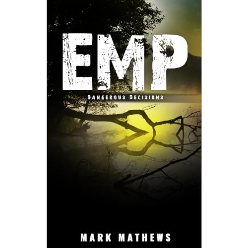 Amazon.com: EMP:The Fall: A Post Apocalyptic Survival Story (Audible ...