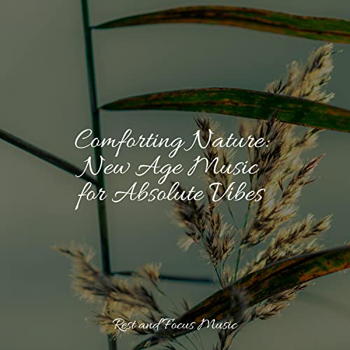 Riproduci Comforting Nature: New Age Music for Absolute Vibes di ...