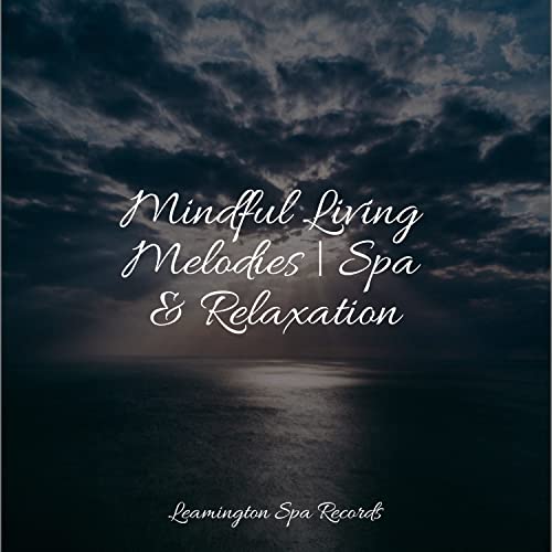 Amazon.co.jp: Mindful Living Melodies | Spa & Relaxation : Best Kids ...