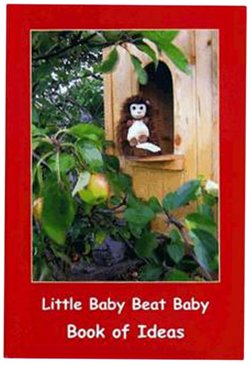 Little Beat Baby Book of Ideas : Bayley, Ros, Broadbent, Lynn: Amazon ...