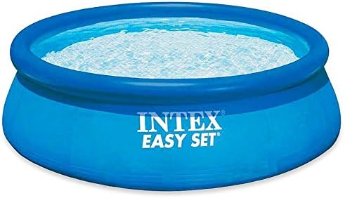 Amazon.com: Intex 28120EH Easy Set Inflatable Swimming Pool: 10ft x ...