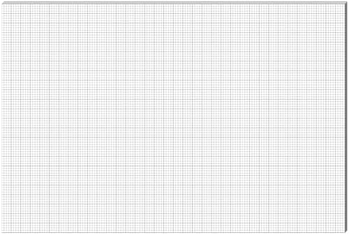 Amazon.com : Fuyoooo 50 Sheet Graph Paper Pad 24" x 36" Large Graph 1 ...