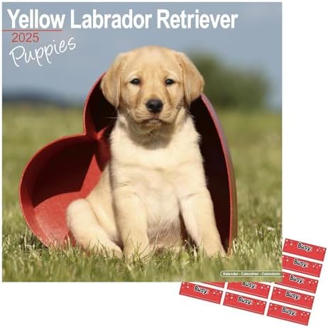 Yellow Labrador Puppies Calendar 2025 | 16 months | with FREE ...