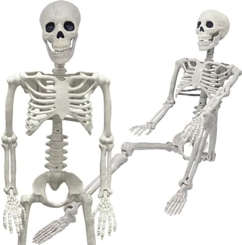 Amazon.com : JOYIN 5.6 FT Halloween Posable Life Size Skeleton Full ...
