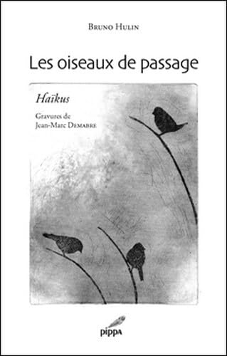 Amazon.com: Les oiseaux de passage: 9782376790730: Hulin, Bruno ...