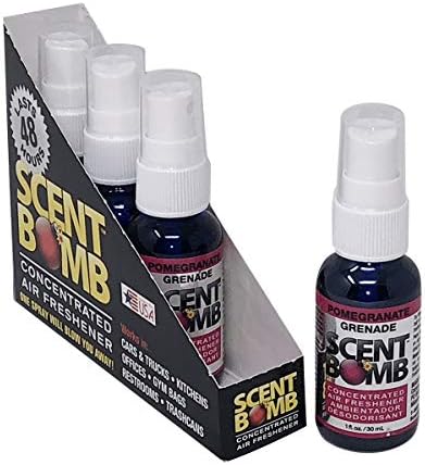 Amazon.com: Scent Bomb Air Freshener - New Car 1 oz Spray - 4 Count ...