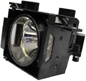 Amazon.com: Z&T DLP Projector Lamp Bulb Module Replacement for ...