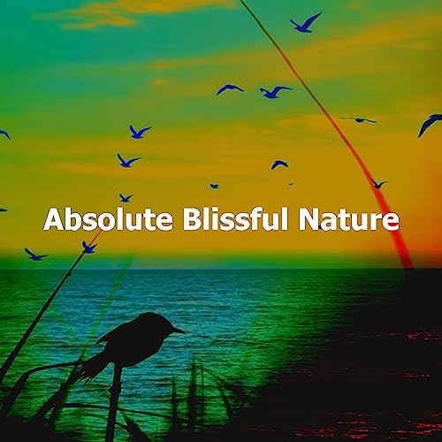 Amazon.com: Absolute Blissful Nature : Rettenmaier: Digital Music