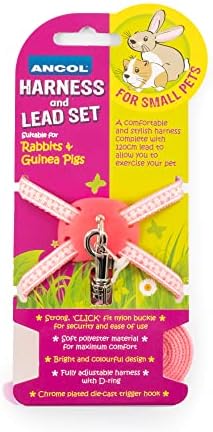 2 Pcs Adjustable Rabbit Leash, Rabbit Accessories, Rabbit Leash, Small ...