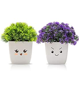 Buy Amputive Artificial Plant Smiley Bushy Shrub Topiary Shrub with ...
