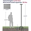 Amazon.com : Garbuildman 105 Inch Bird Feeder Pole Kit, Heavy Duty Bird ...
