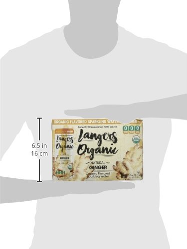 The 30 Best Ginger Drinking Water of 2024 [Verified] - Cherry Picks