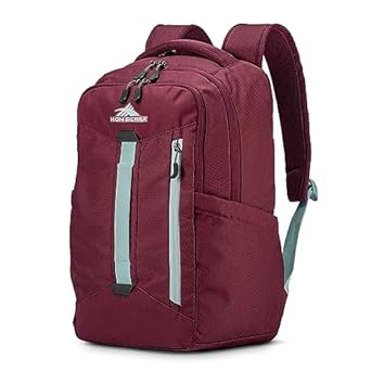 High Sierra Everyday Backpack with Device Sleeve and Adjustable Straps ...