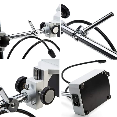 The 25 Best SWIFT Stereo Microscopes of 2023 [Verified] - Cherry Picks