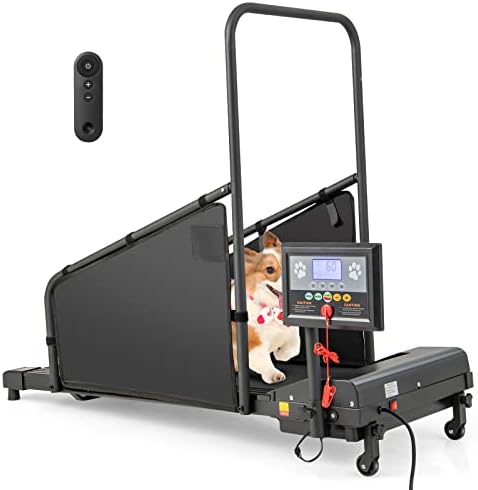 Amazon.com : GoPet PetRun PR725 Dog Treadmill Indoor Exercise/Fitness ...