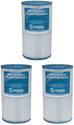 Amazon.com: Watkins Prodigy Original Hot Spring Spa Replacement Filters ...