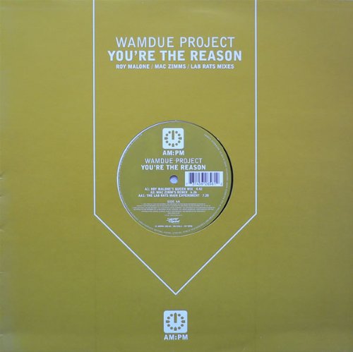 You're the Reason: Wamdue Project: Amazon.in: Music}