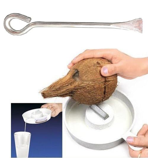 Buy Stainless Coconut Breaker Rod Opener with Heavy Plastic Coconut ...