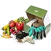 Amazon.com : Garden Pack 30 Vegetable Seeds Variety Kit - Over 15000 ...