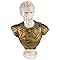 Design Toscano Apollo Belvedere Bust Statue, 30 cm, Bonded Marble ...