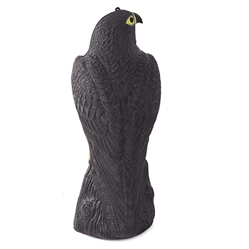 Fake Falcon Scarecrow Bird Bollard Scares Garden Pigeons – BigaMart