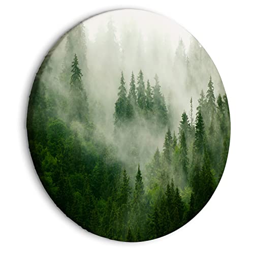 C Bild – Die 15 besten Produkte im Vergleich - Heimkinocheck Ratgeber