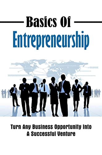 Basics Of Entrepreneurship: Turn Any Business Opportunity Into A ...